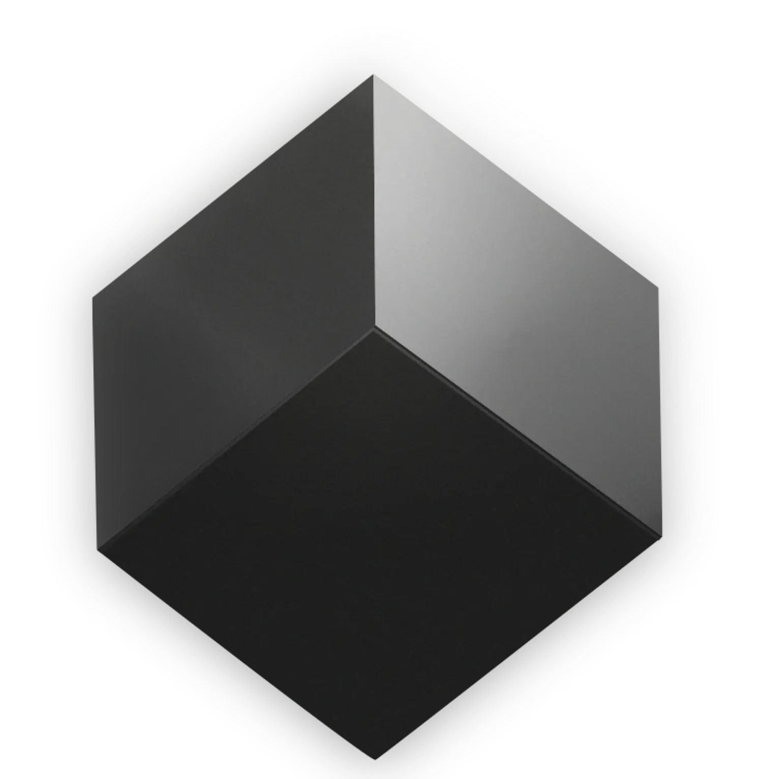 Black Cube | Business Intelligence Services